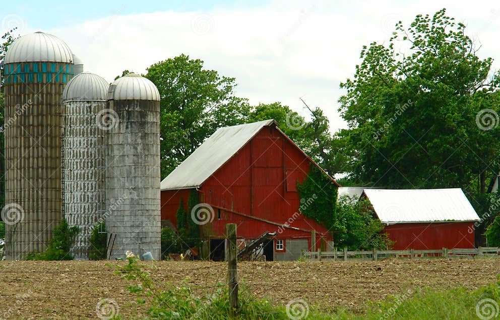 Farm stock image. Image of agricultural, bovine, dairy - 871839