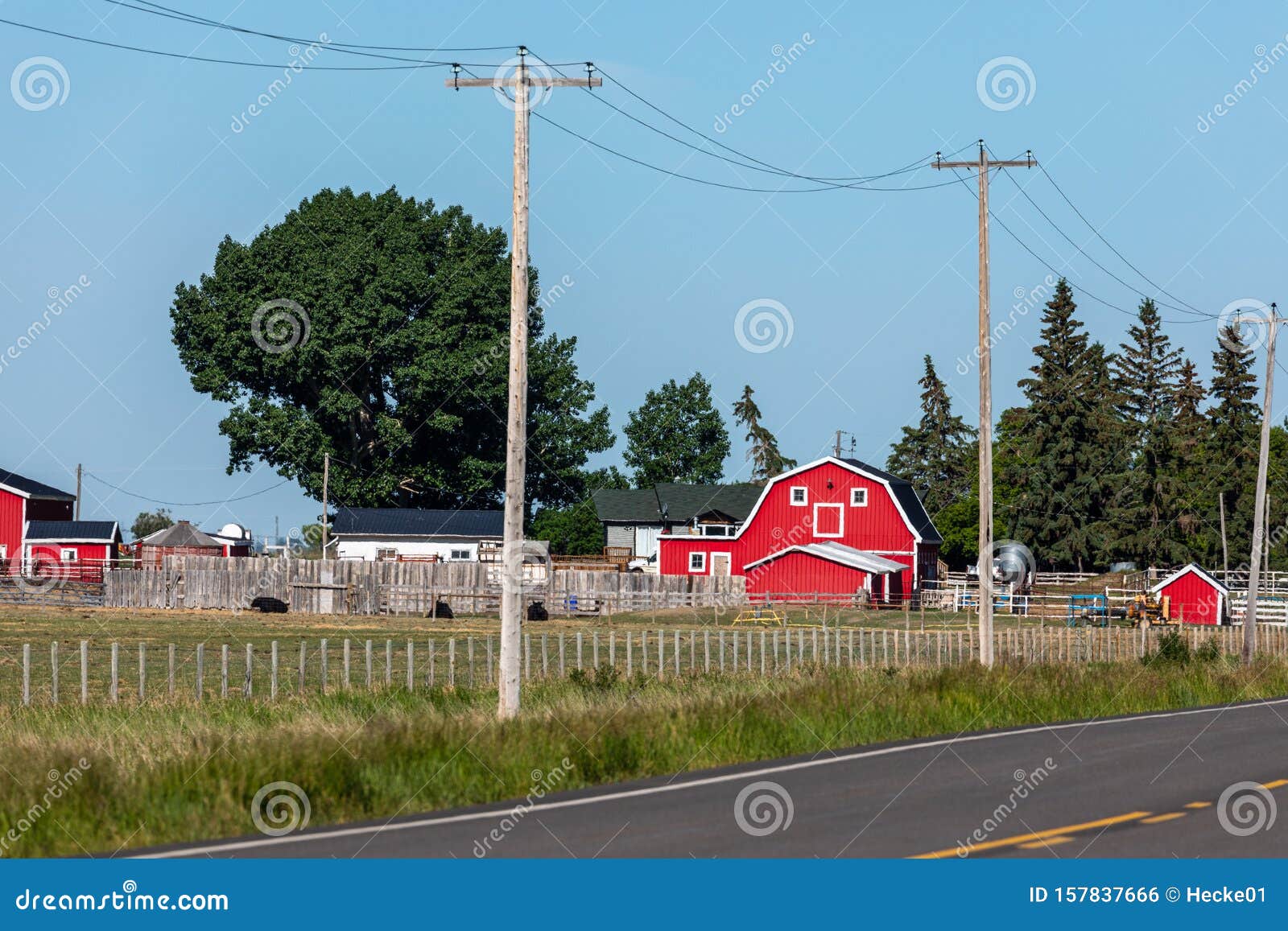 Farm and Agriculture in Alberta Canada Stock Photo - Image of home ...