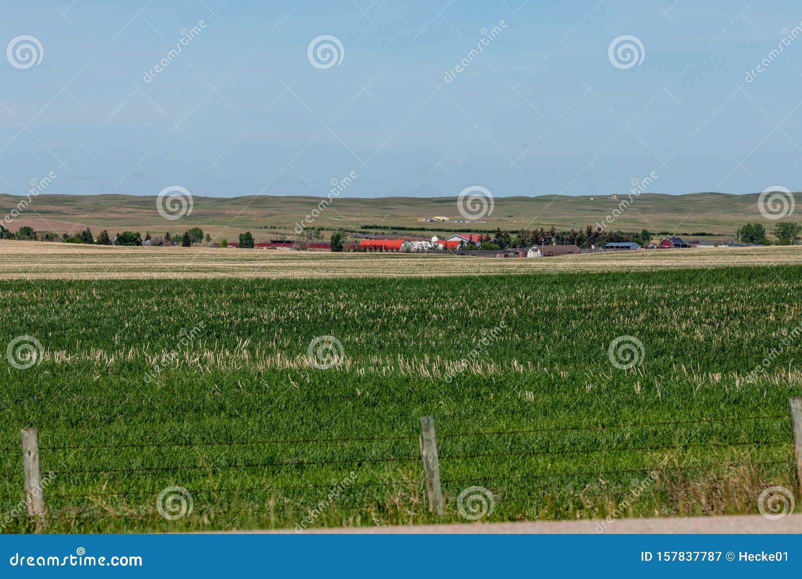 Farm and Agriculture in Alberta Canada Stock Image - Image of wood ...
