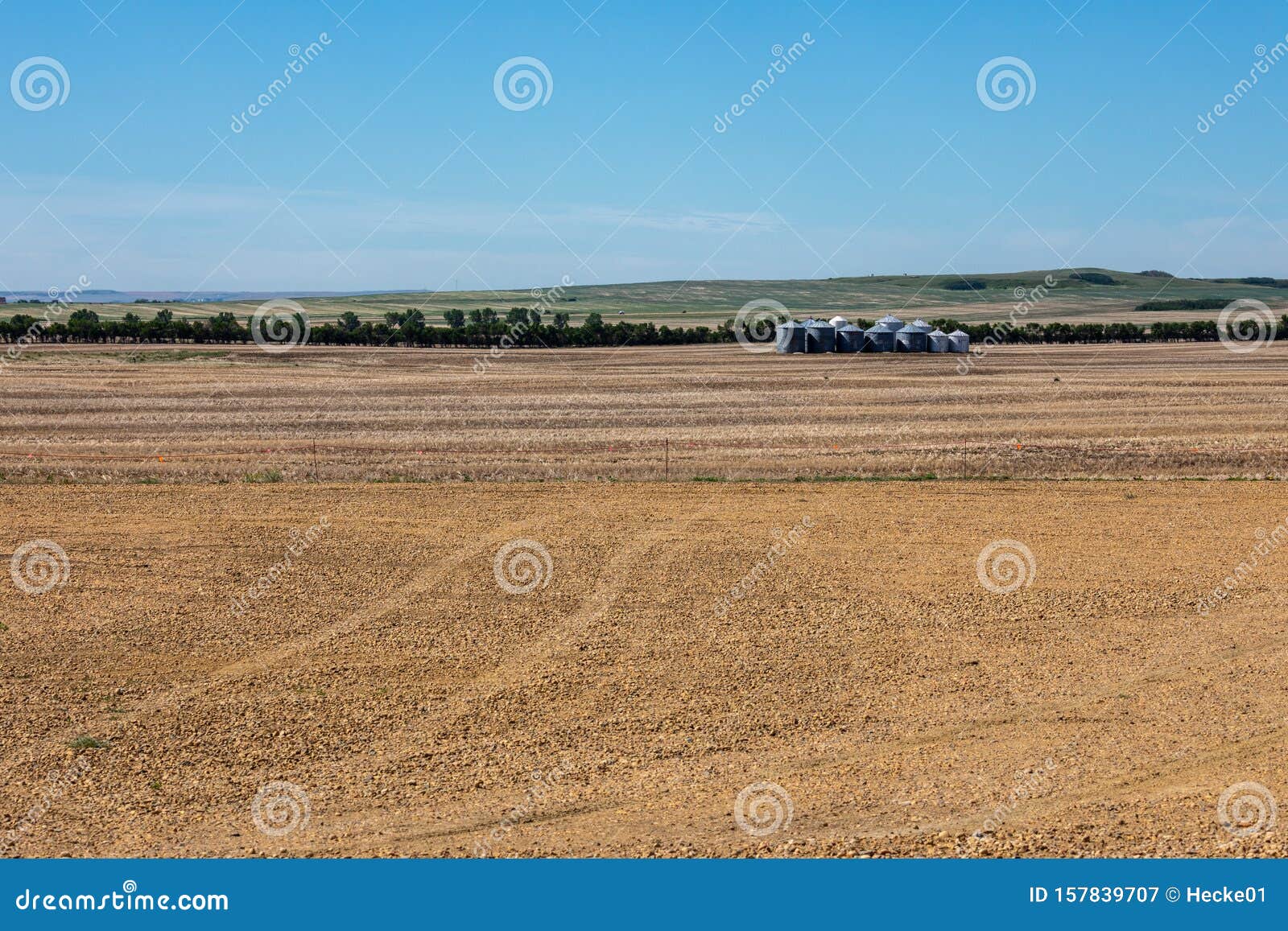 Farm and Agriculture in Alberta Canada Stock Image - Image of building ...