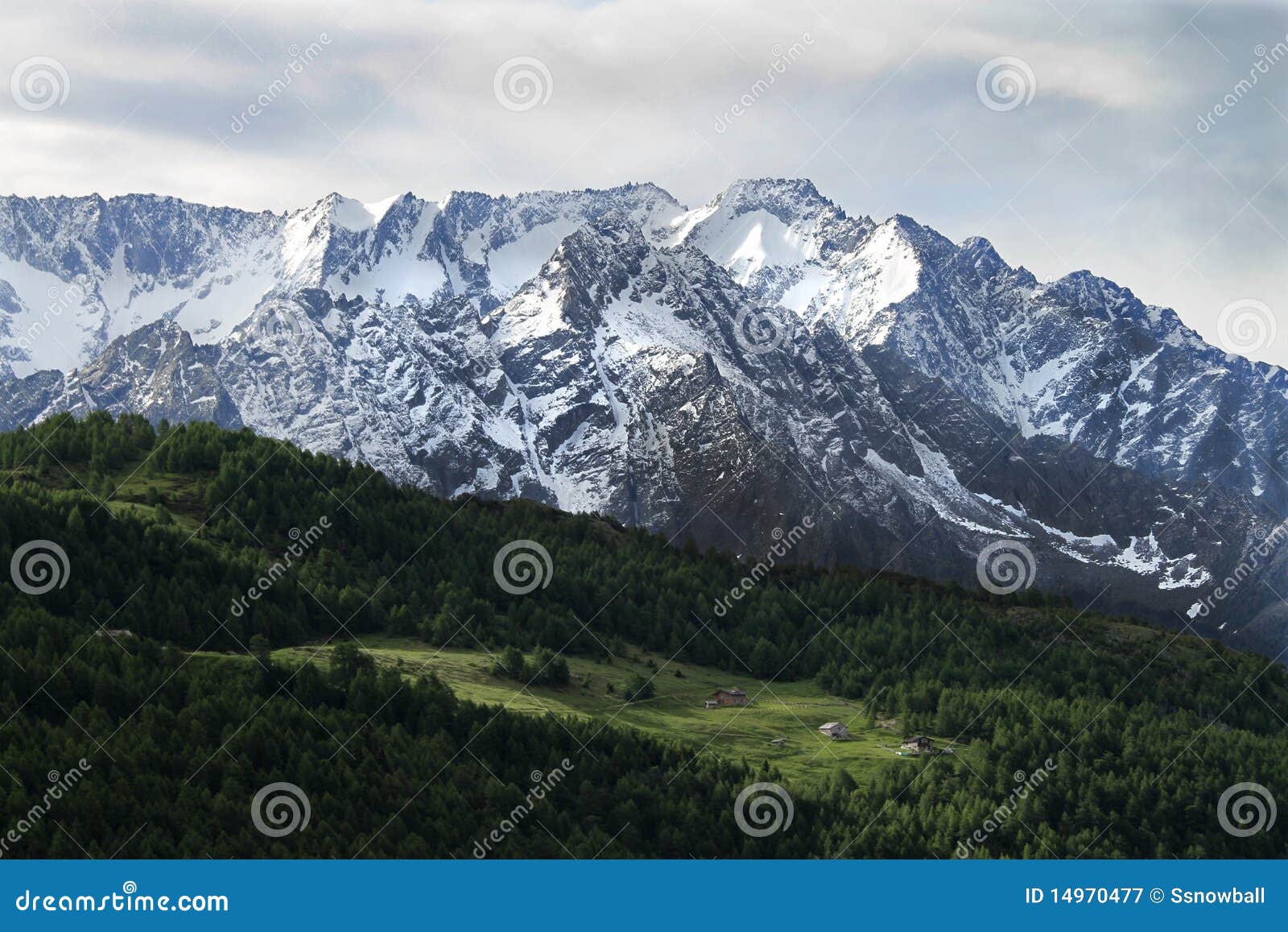 Farm in the alps stock image. Image of tree, mountain - 14970477