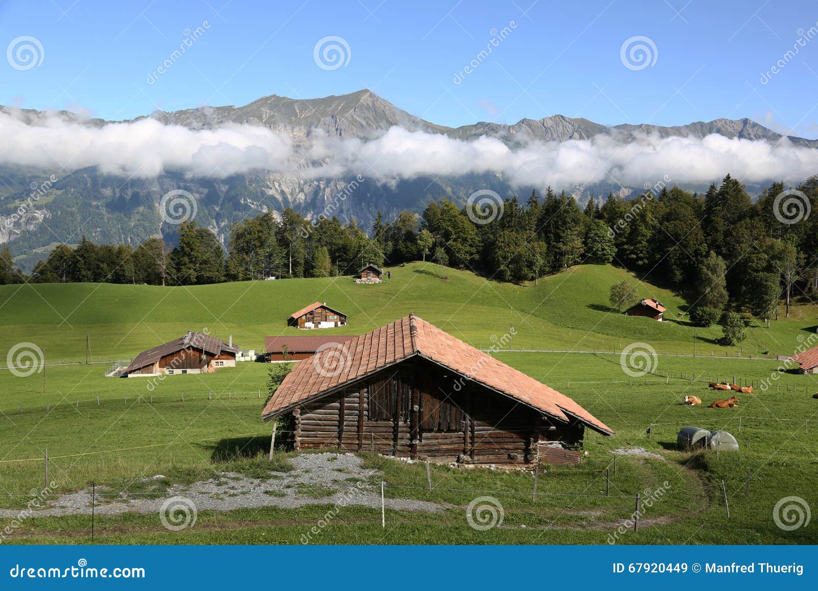 Farm in the Alps in the Bernese Oberland, Switzerland Stock Image ...
