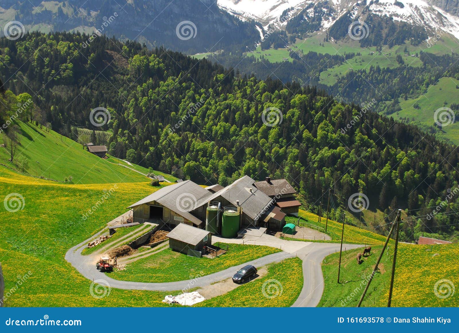 Farm in the Alps in Switzerland Stock Photo - Image of alps, camera ...