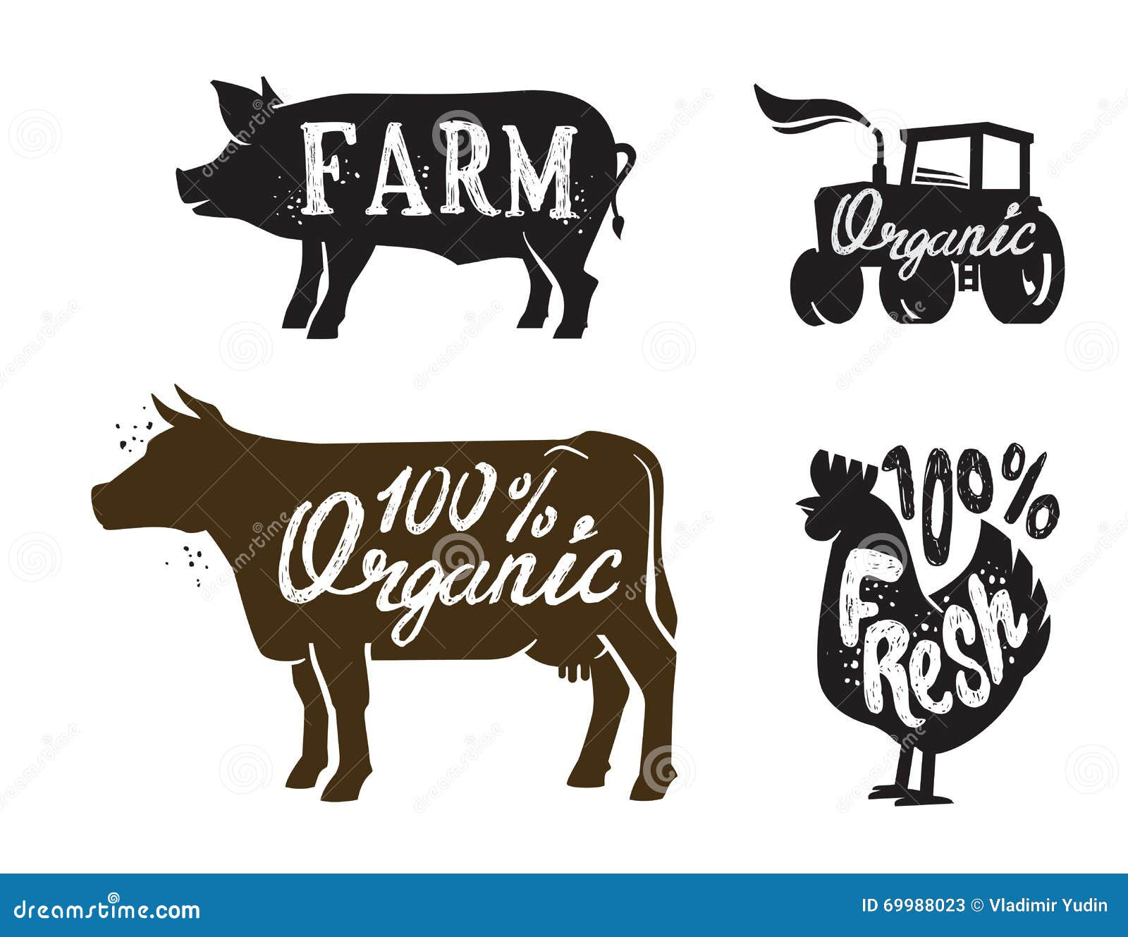 Farm Animal and text stock vector. Illustration of chicken - 69988023