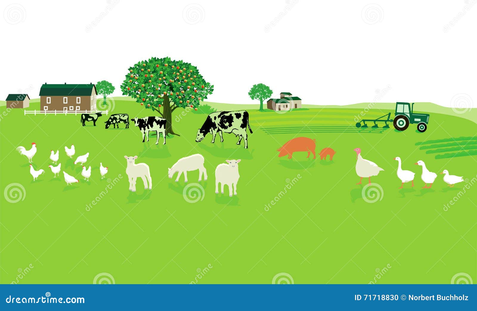 Farm animals in field stock vector. Illustration of bird - 71718830