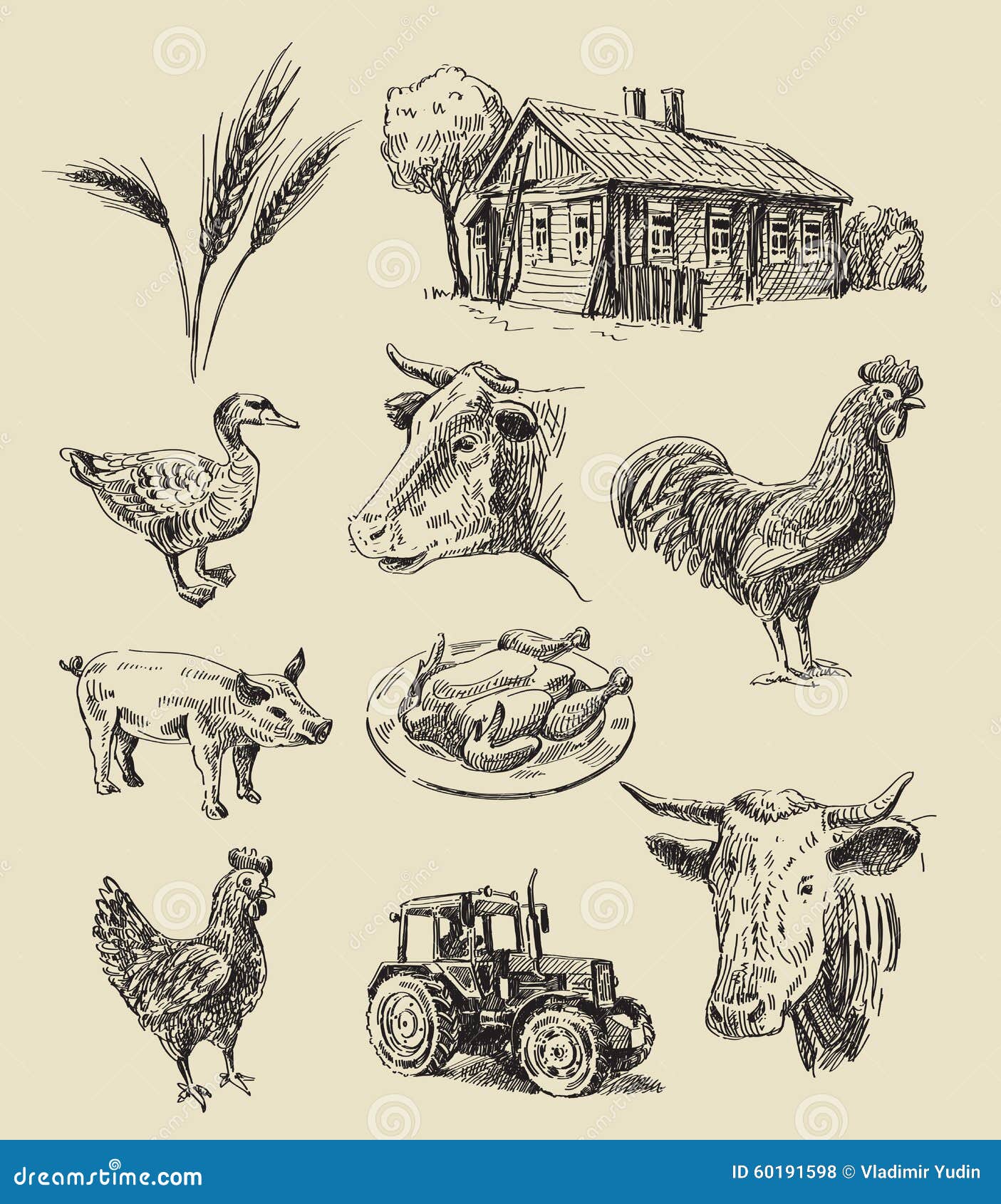 Farm and Animals Hand Drawn Stock Vector - Illustration of natural ...