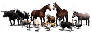 Farm Animals - Separated on White Background Stock Illustration ...
