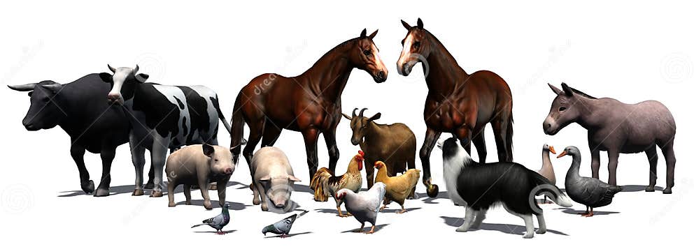 Farm Animals - Separated on White Background Stock Illustration ...
