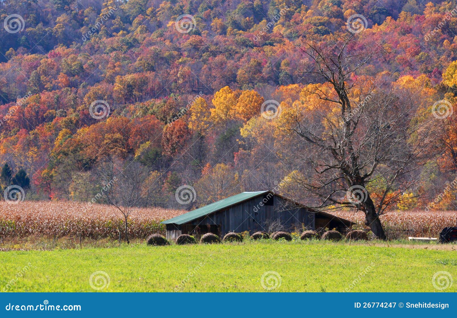 Farm in autumn stock image. Image of relaxation, ecology - 26774247