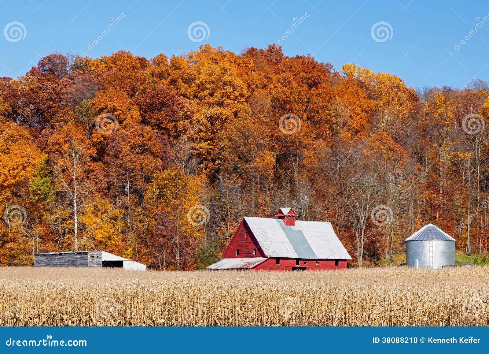Farm and Autumn Hillside stock photo. Image of autumnal - 38088210