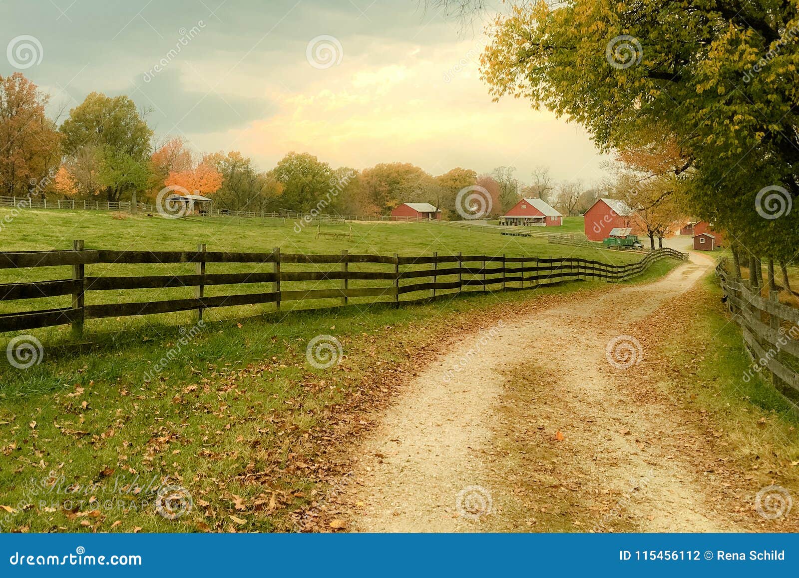 Farm in Autumn stock photo. Image of country, road, scenic - 115456112