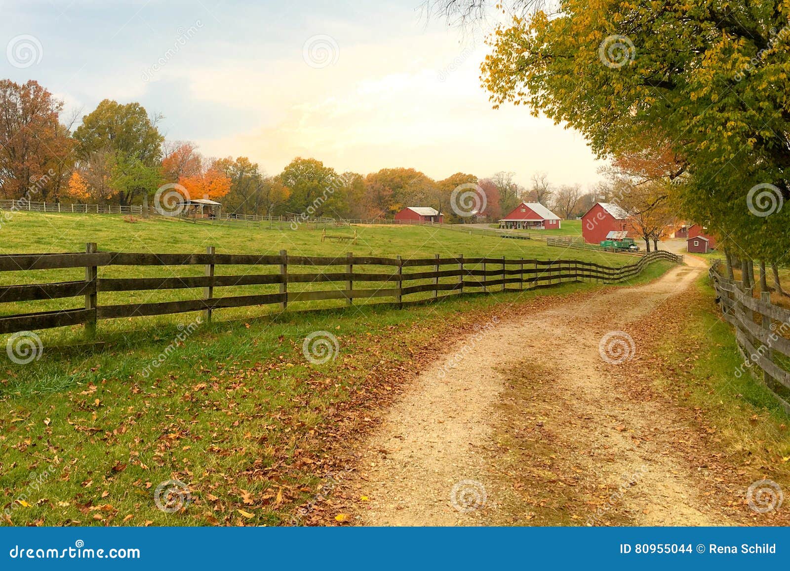Farm in Autumn stock photo. Image of farmhouse, buildings - 80955044