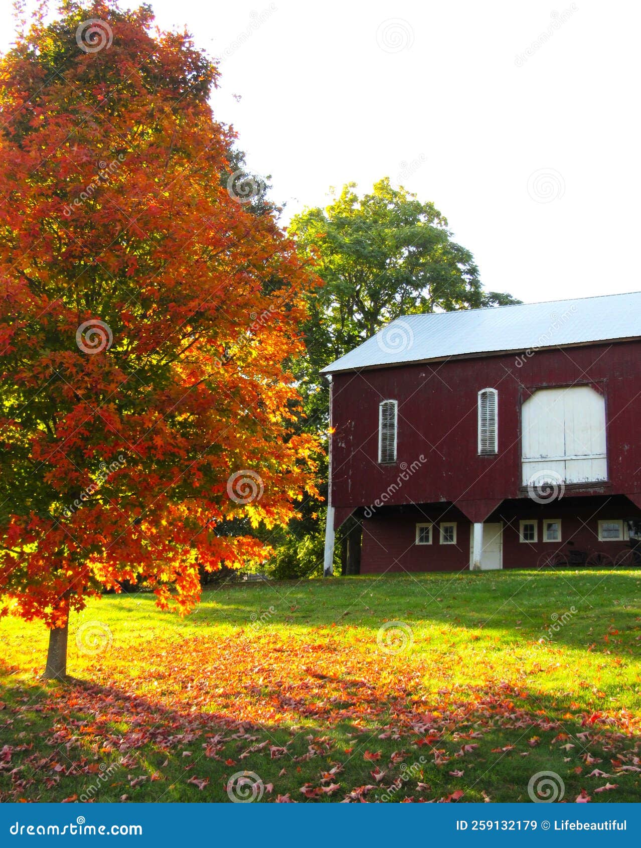 Farm in autumn stock image. Image of neighbourhood, estate - 259132179