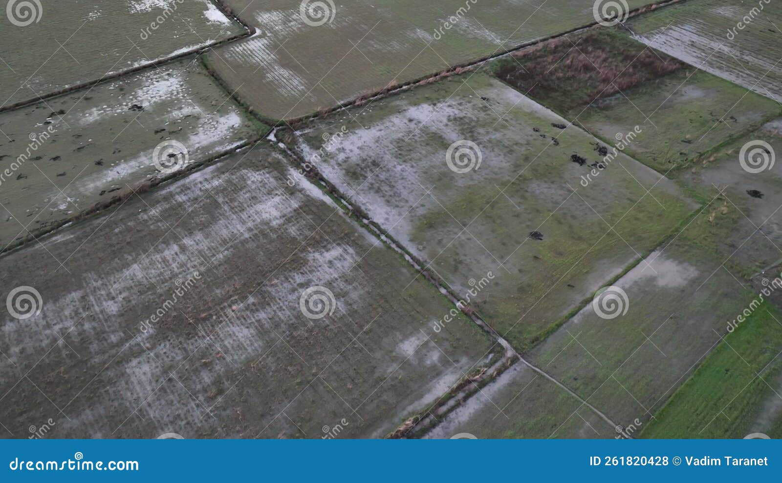 Farm Background Texture 4 K Aerial View 4K Stock Footage - Video of ...