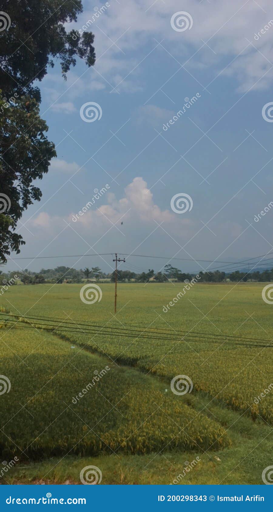 The farm stock image. Image of away, background, fade - 200298343