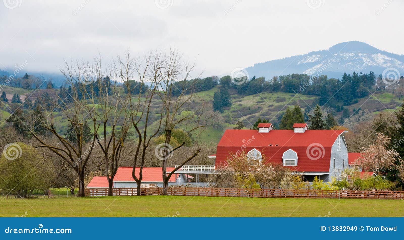 Farm and Barn in Countryside Stock Image - Image of dwelling, outdoors ...