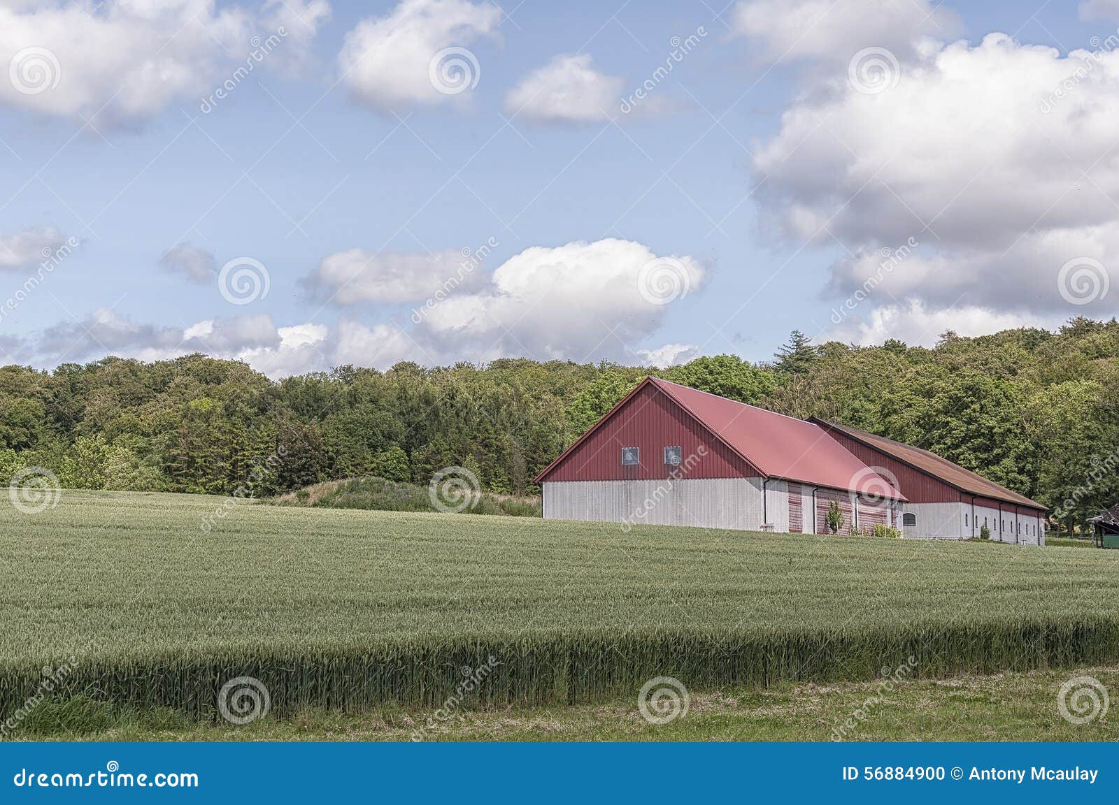 Farm Barn and Field stock photo. Image of grass, clouds - 56884900