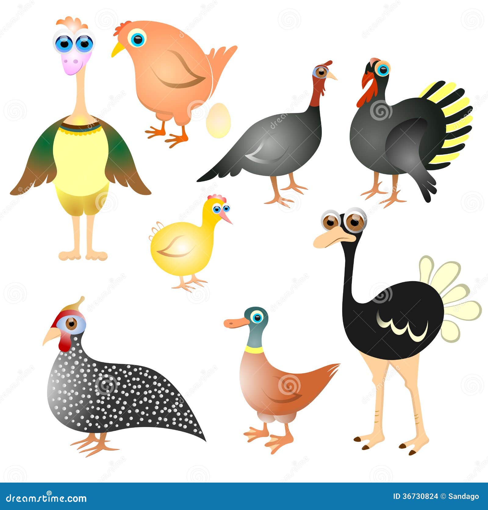 Farm birds collection stock vector. Illustration of brown - 36730824
