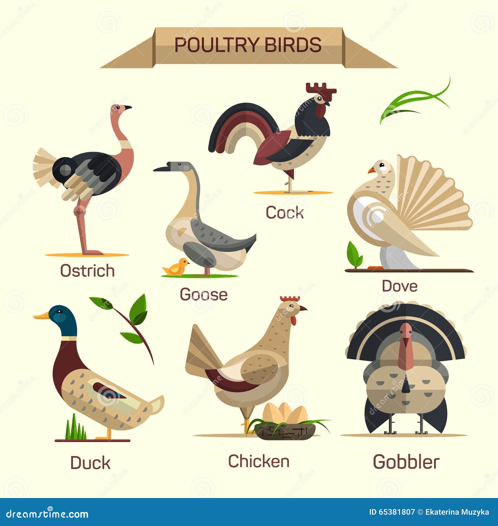 Farm Birds Vector Set In Flat Style Design Stock Vector Illustration Of Element Farm 65381807