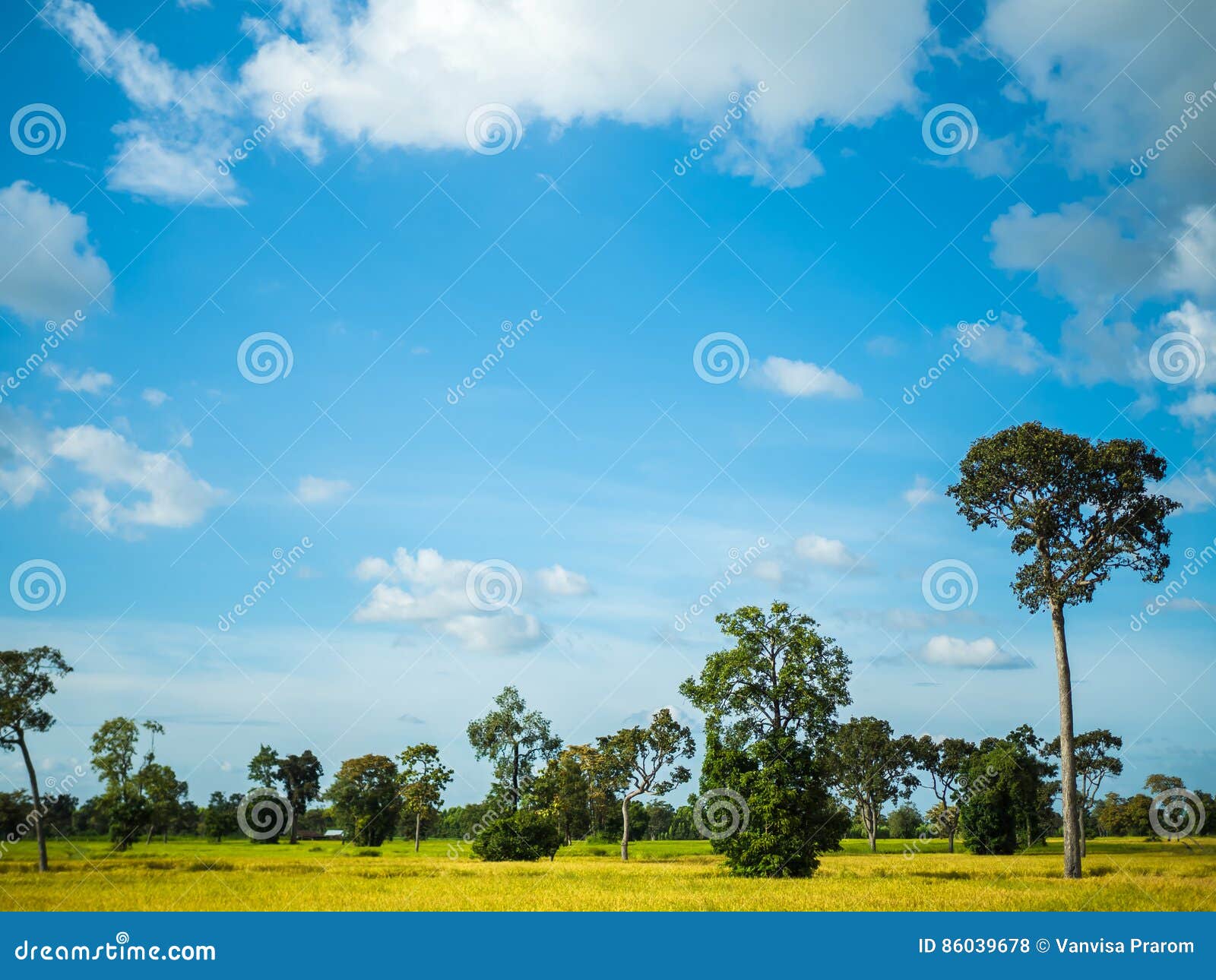 Farm with Blue Sky and Clouds. Stock Photo - Image of industry, farming ...