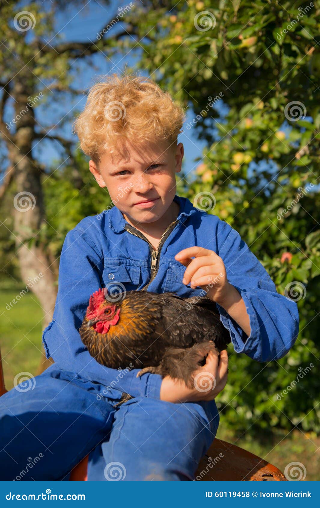 Farm Boy with tractor stock photo. Image of animal, riding - 60119458