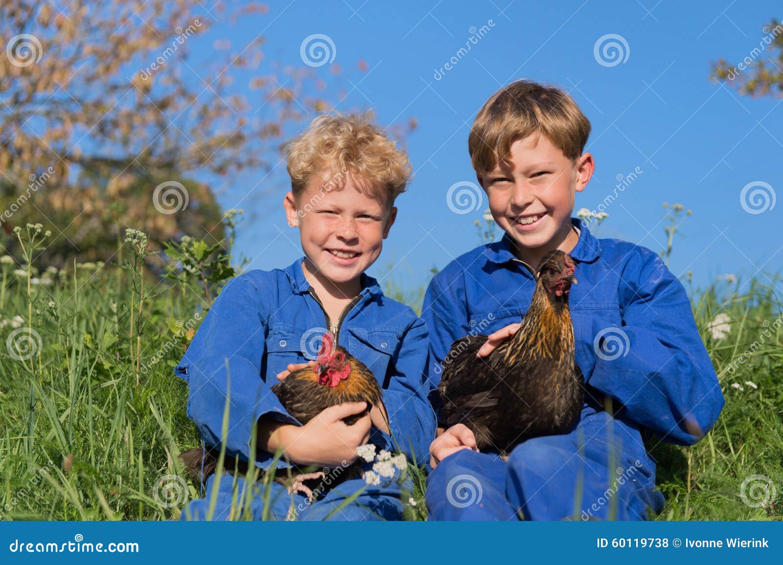 Farm Boys with chickens stock photo. Image of brothers - 60119738