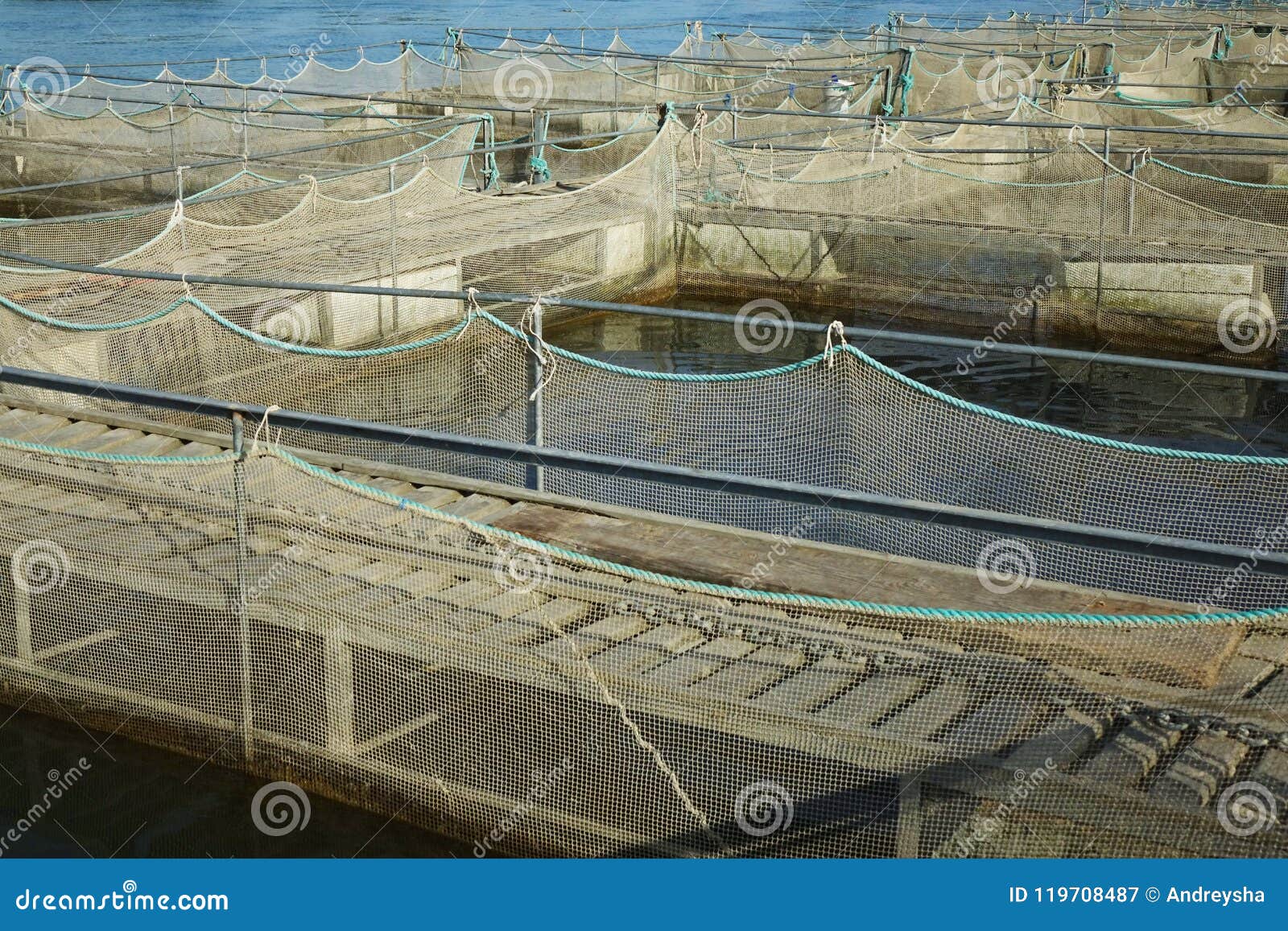 Fish farm on the river . stock image. Image of industry - 119708487
