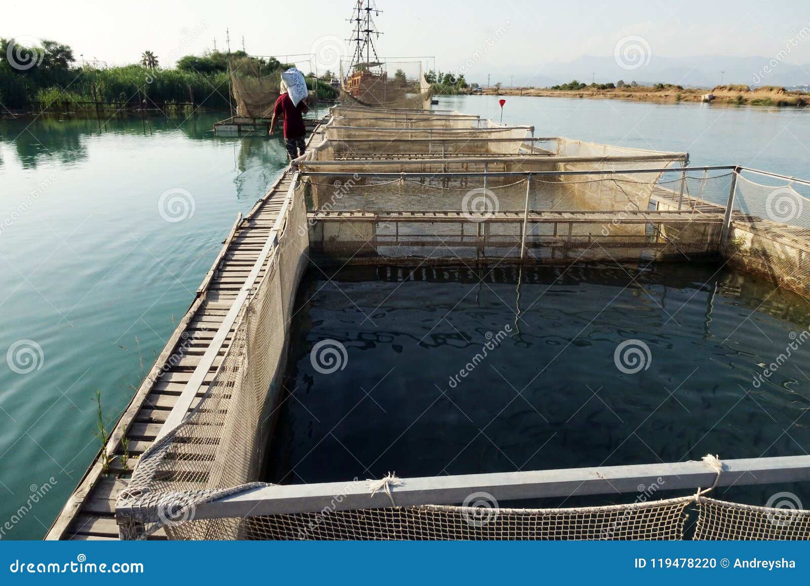 Fish farm on the river . stock photo. Image of cell - 119478220