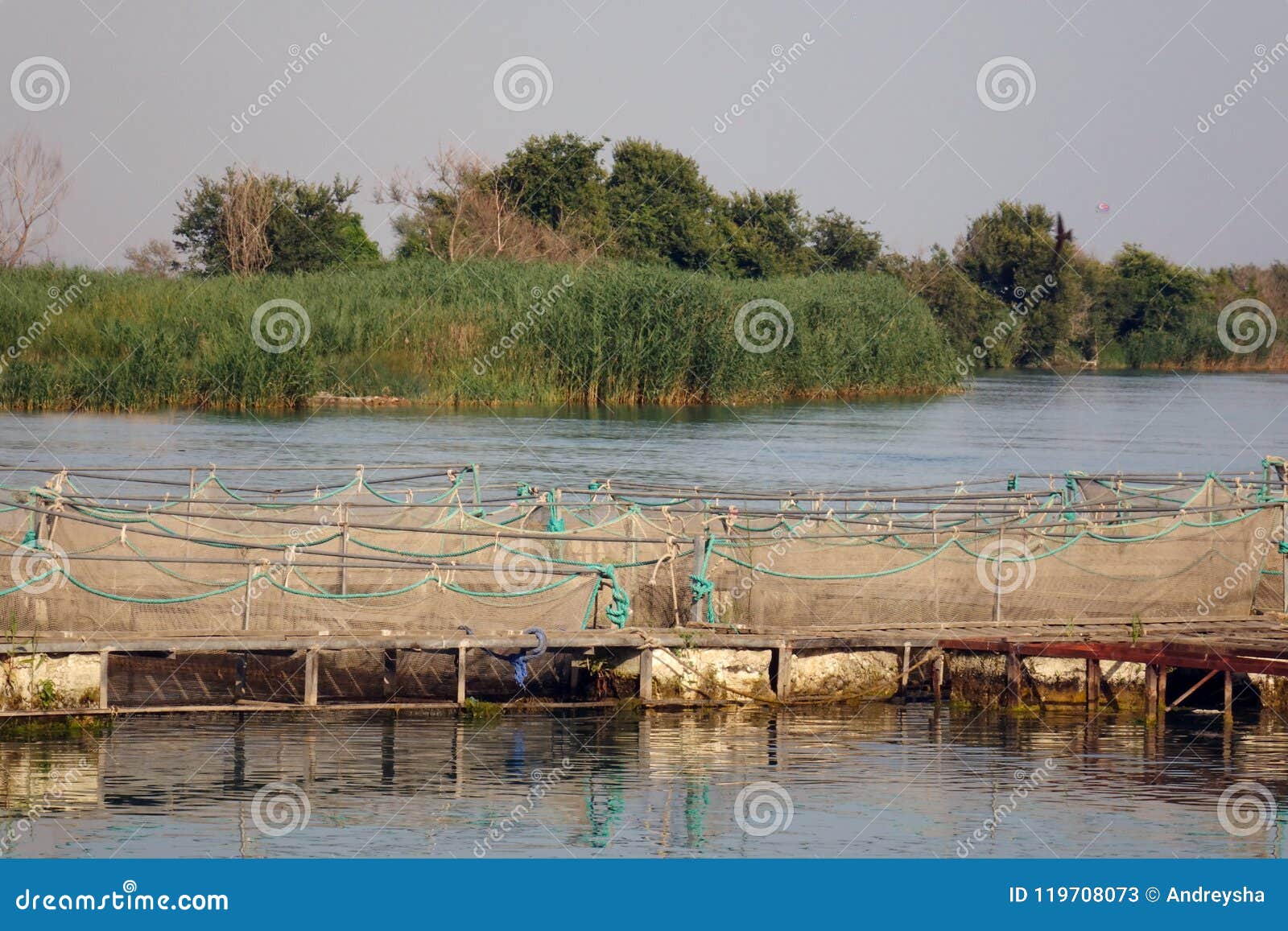 Fish farm on the river . stock image. Image of fish - 119708073