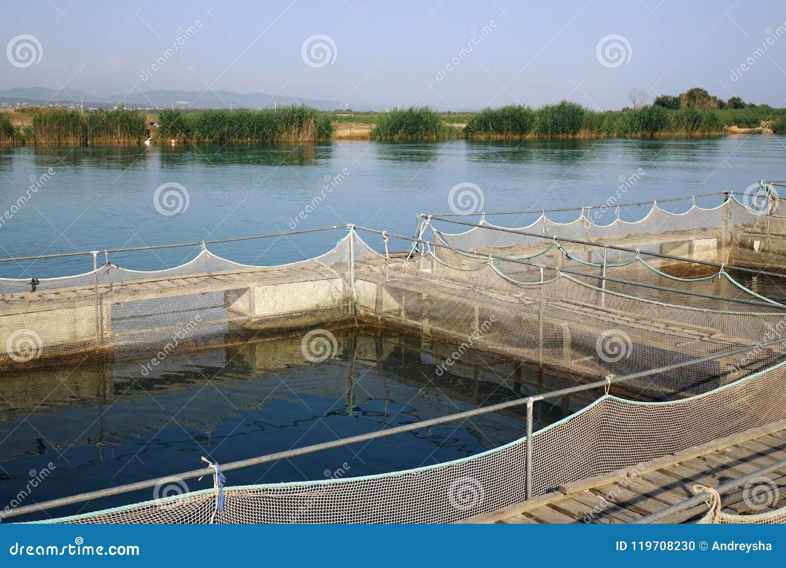 Fish farm on the river . stock photo. Image of nets - 119708230