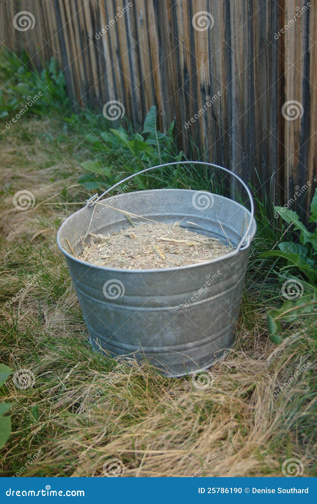Farm Bucket on Dry Grass by Fence Stock Photo - Image of nature, wooden ...