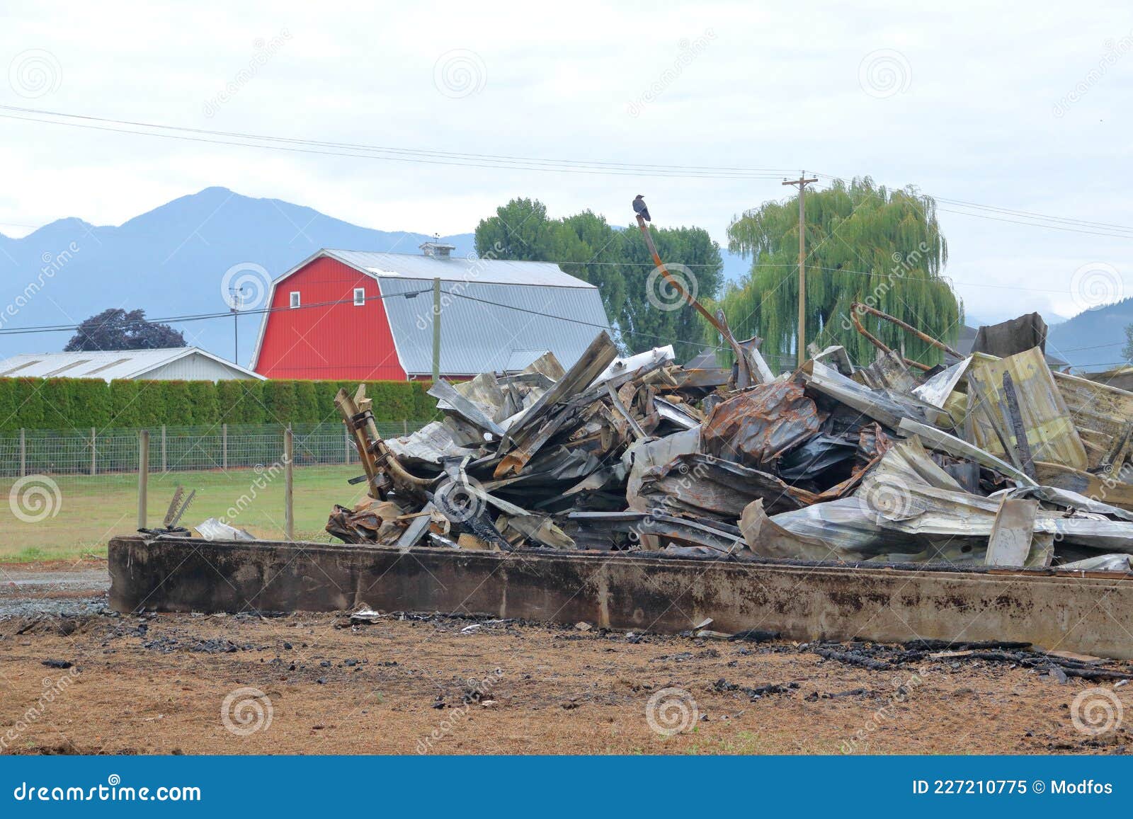 Farm Building Fire Aftermath Stock Image - Image of debris, remains ...