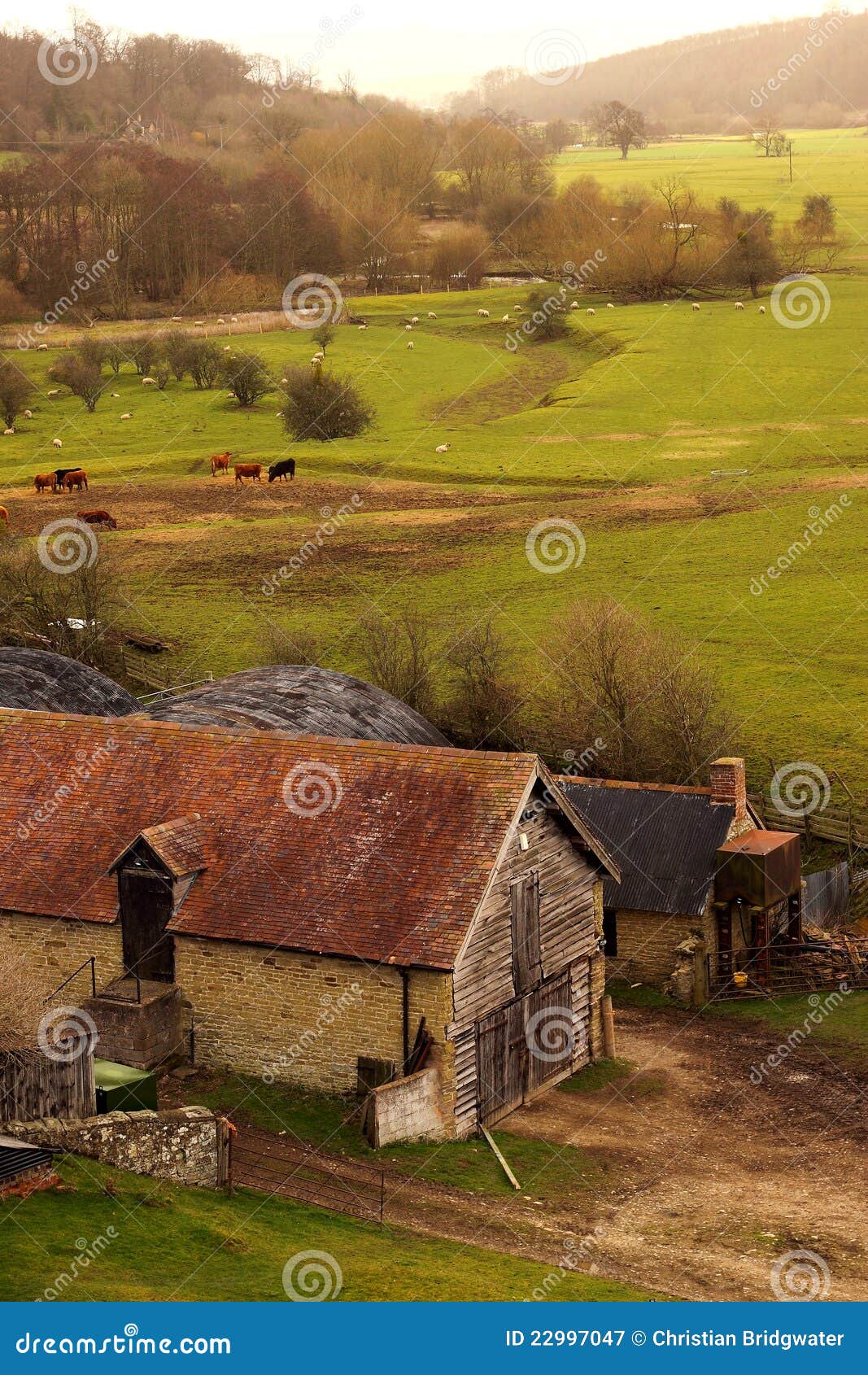 Farm buildings a stock image. Image of sheep, building - 22997047