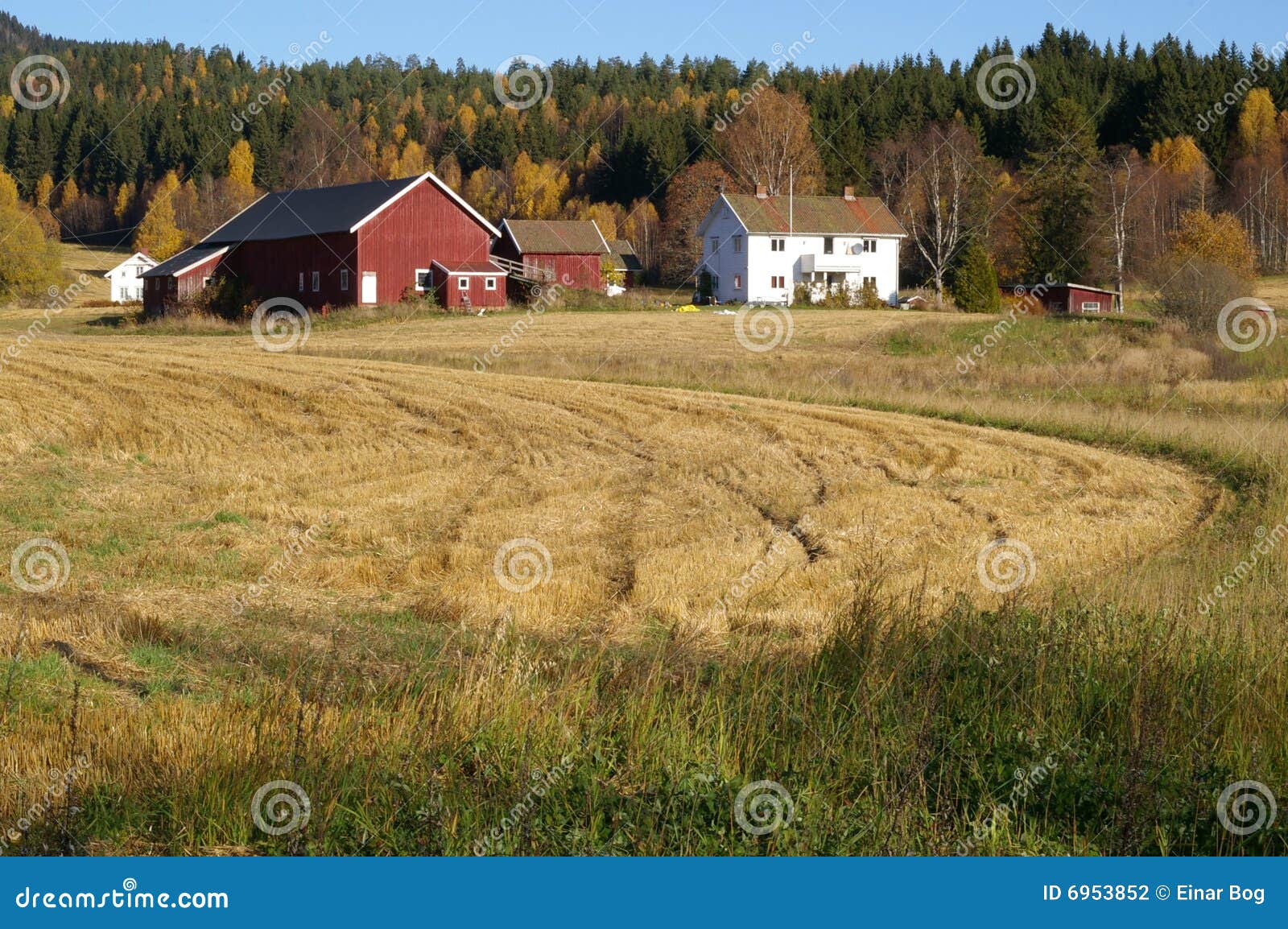 Farm Buildings in Countryside Stock Photo - Image of norwegian, scenery ...