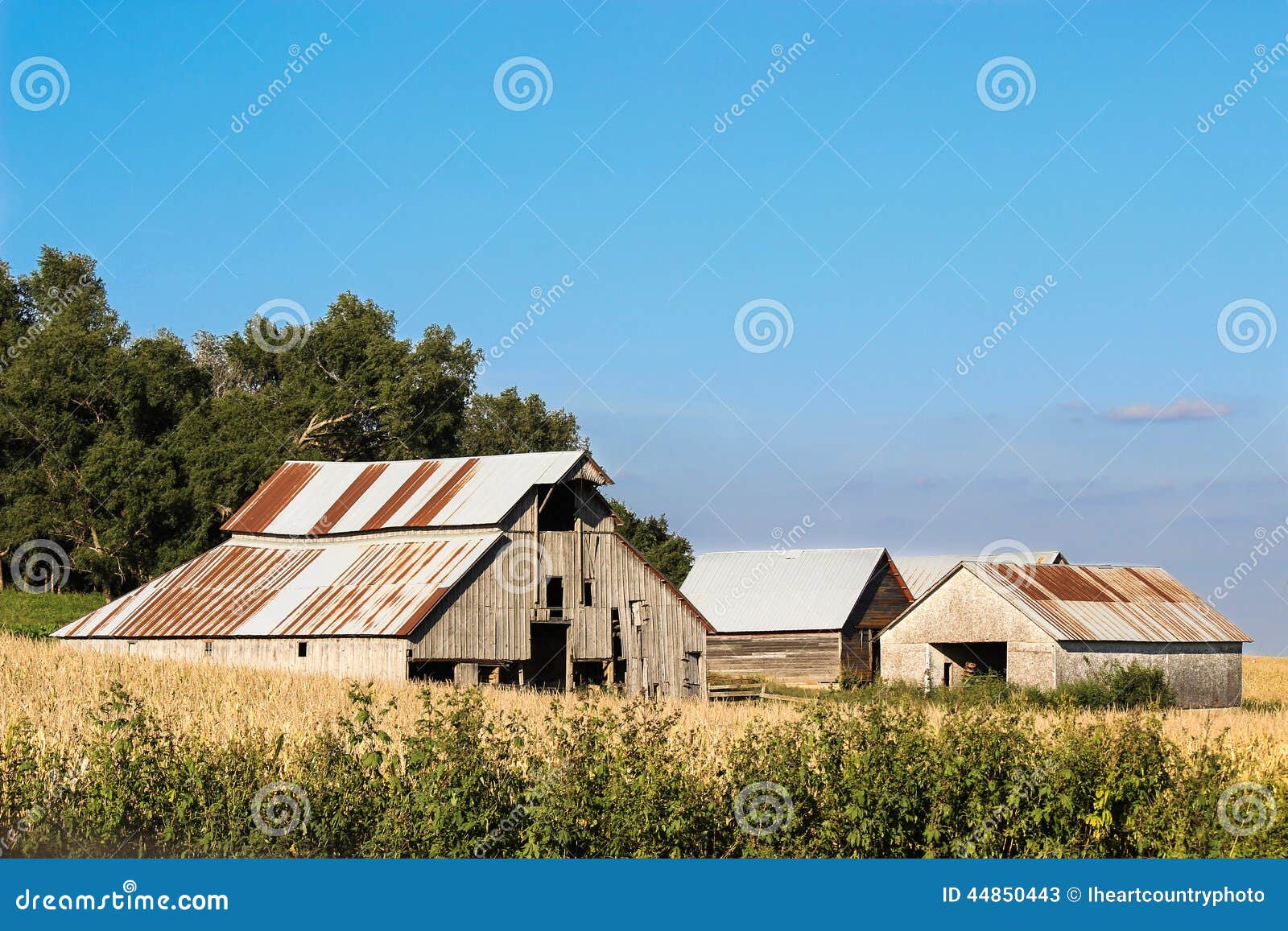 Farm Buildings stock image. Image of rustic, farming - 44850443