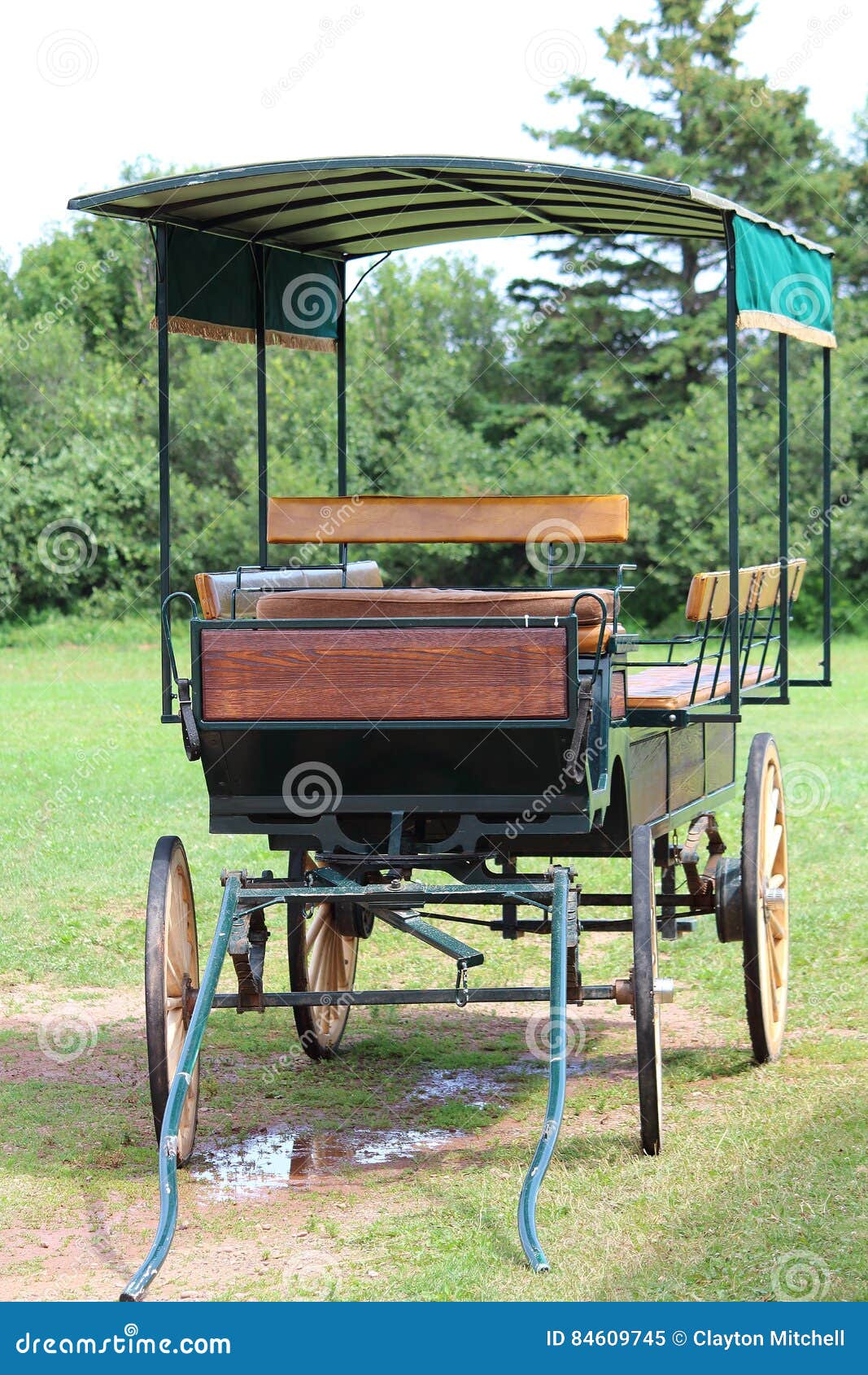 Farm carriage in the field stock image. Image of flowers - 84609745