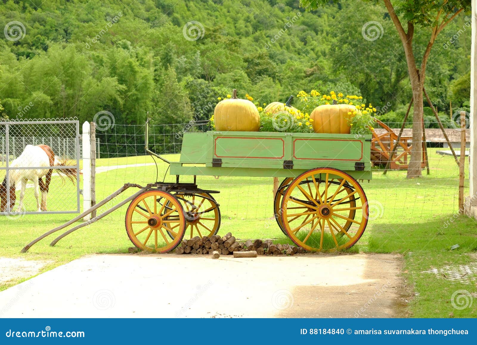 Farm cart stock photo. Image of gardening, vegitables - 88184840