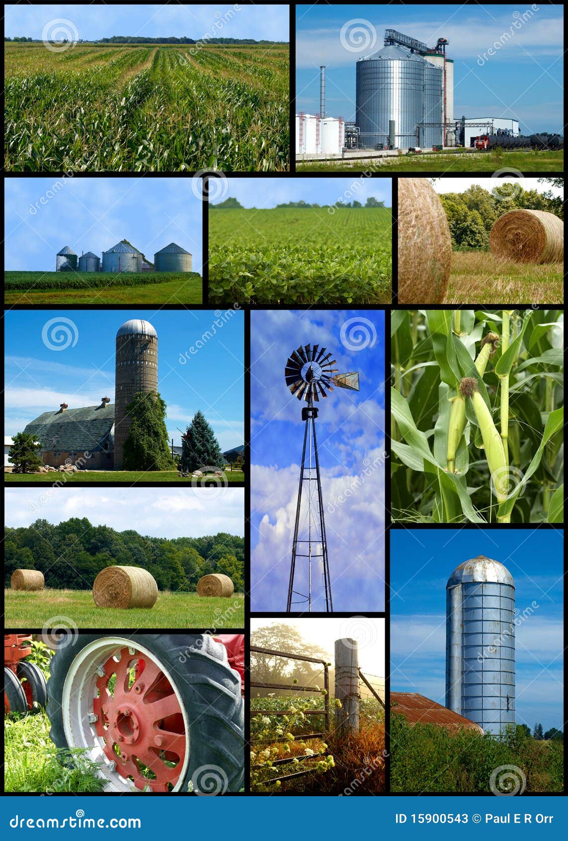 4,334 Farm Collage Stock Photos - Free & Royalty-Free Stock Photos from ...