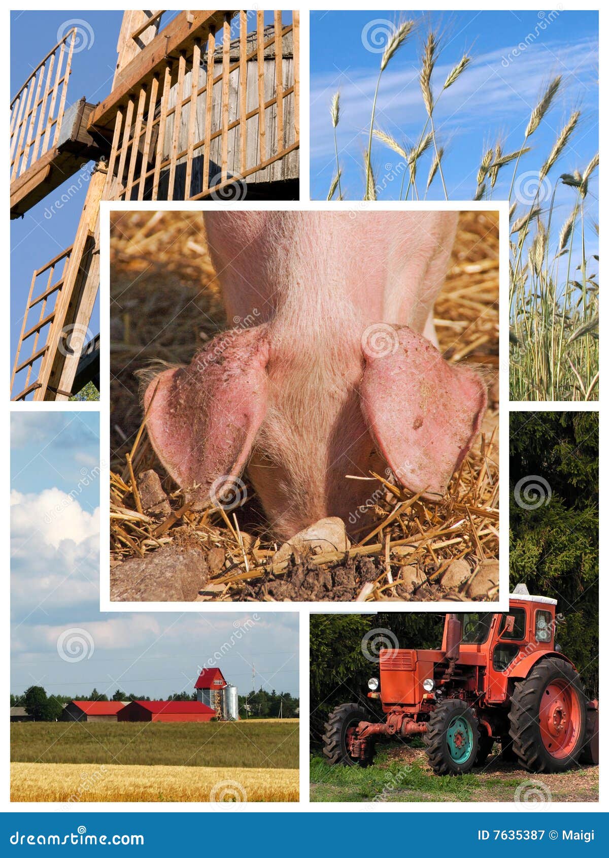 Farm collage stock image. Image of farmland, cultivation - 7635387