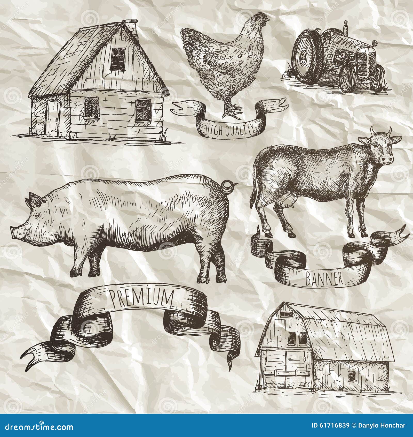 Farm Collection. Hand Drawn Isolated Elements. Stock Vector ...