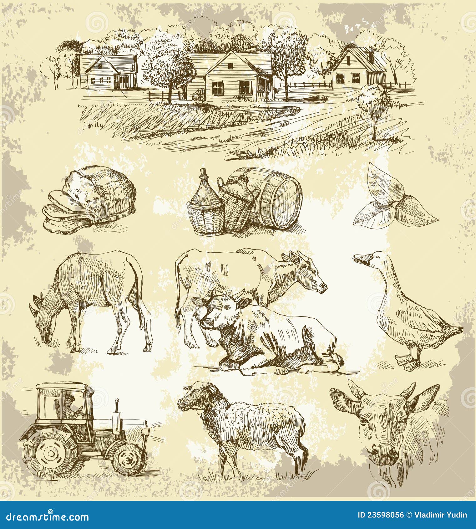 Farm Collection-handmade Drawing Stock Vector - Illustration of ...