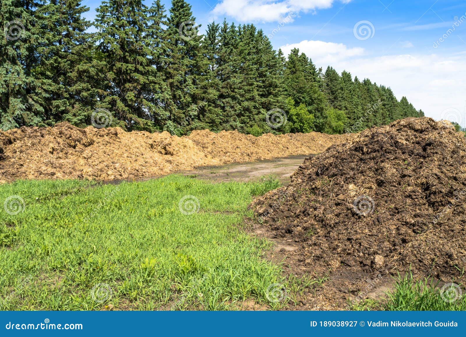 Farm Composting in Windrows Stock Image - Image of crop, composting ...