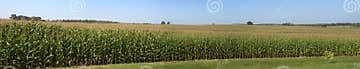 Farm Corn Field Panoramic Panorama Cornfield Stock Photo - Image of ...