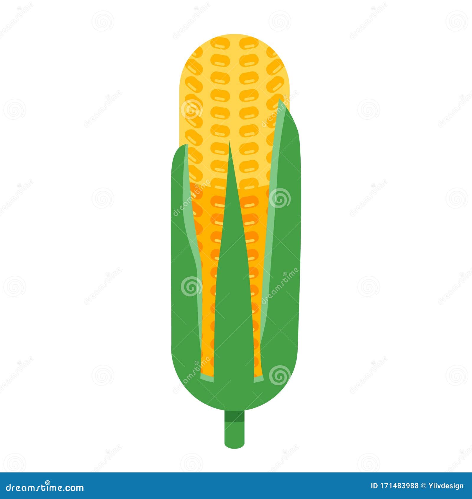 Farm Corn Icon, Isometric Style Stock Vector - Illustration of harvest ...
