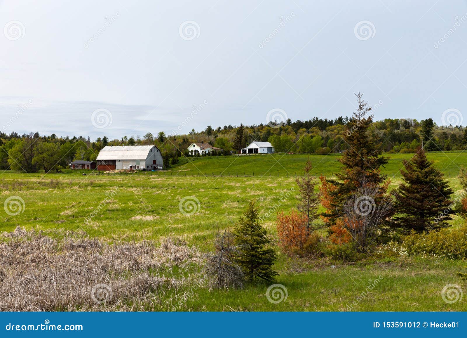Farm in the Country in Canada Stock Photo - Image of land, village ...