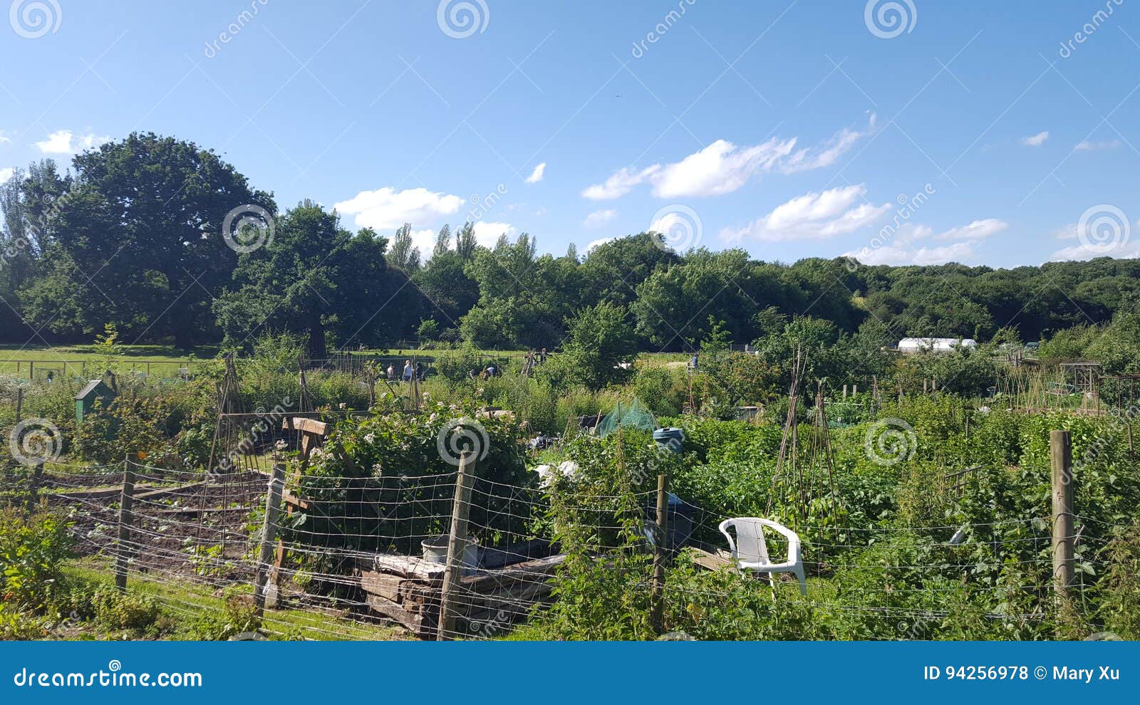 A Farm at Countryside stock photo. Image of field, tree - 94256978