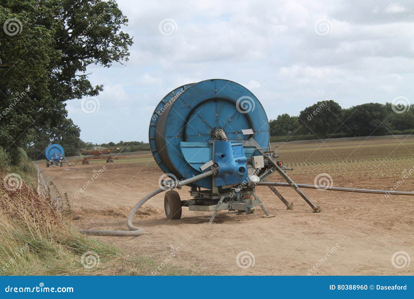 Farm Crop Watering System. stock photo. Image of crop - 80388960