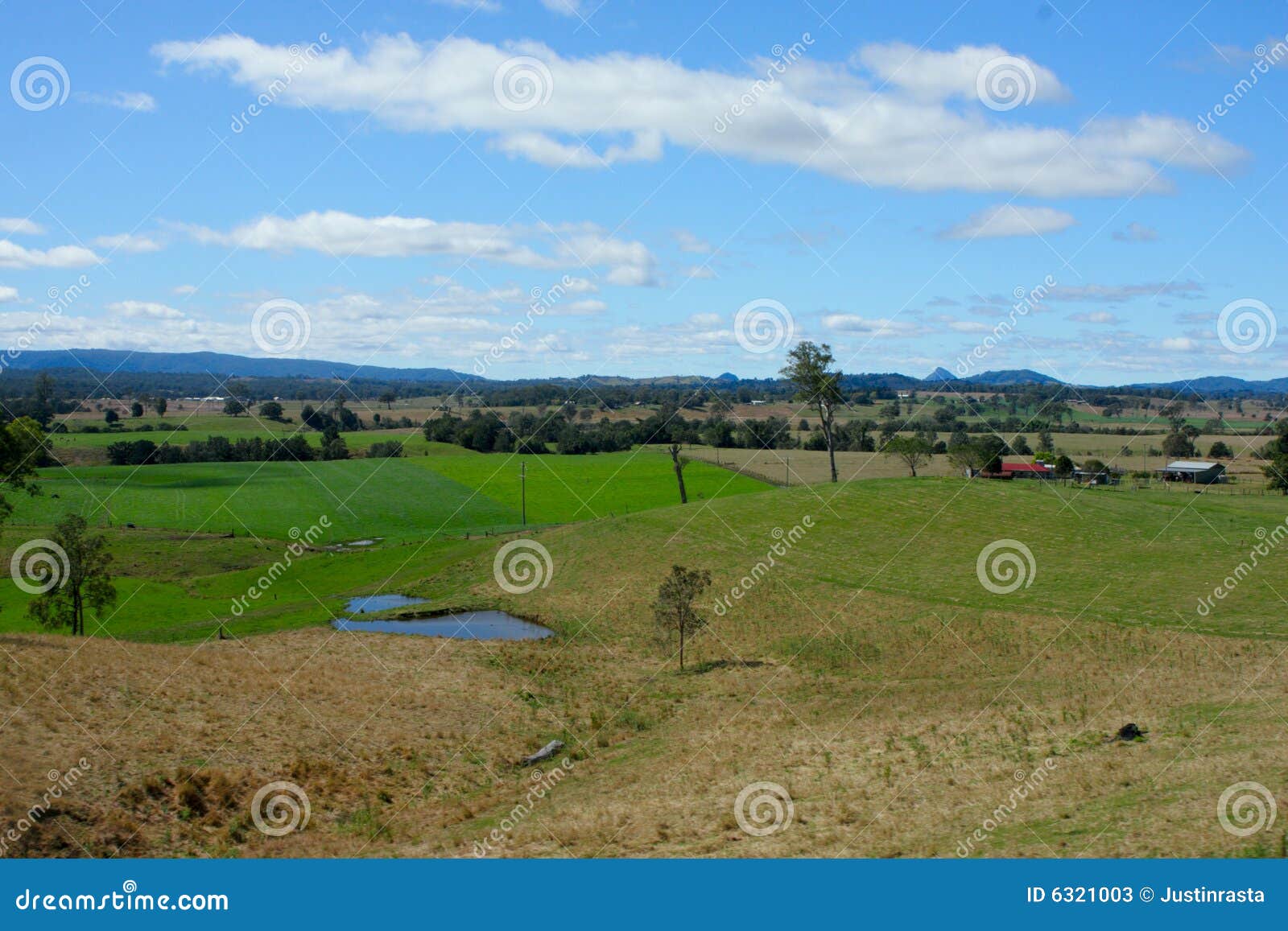 Farm dam stock image. Image of trees, grass, blue, green - 6321003