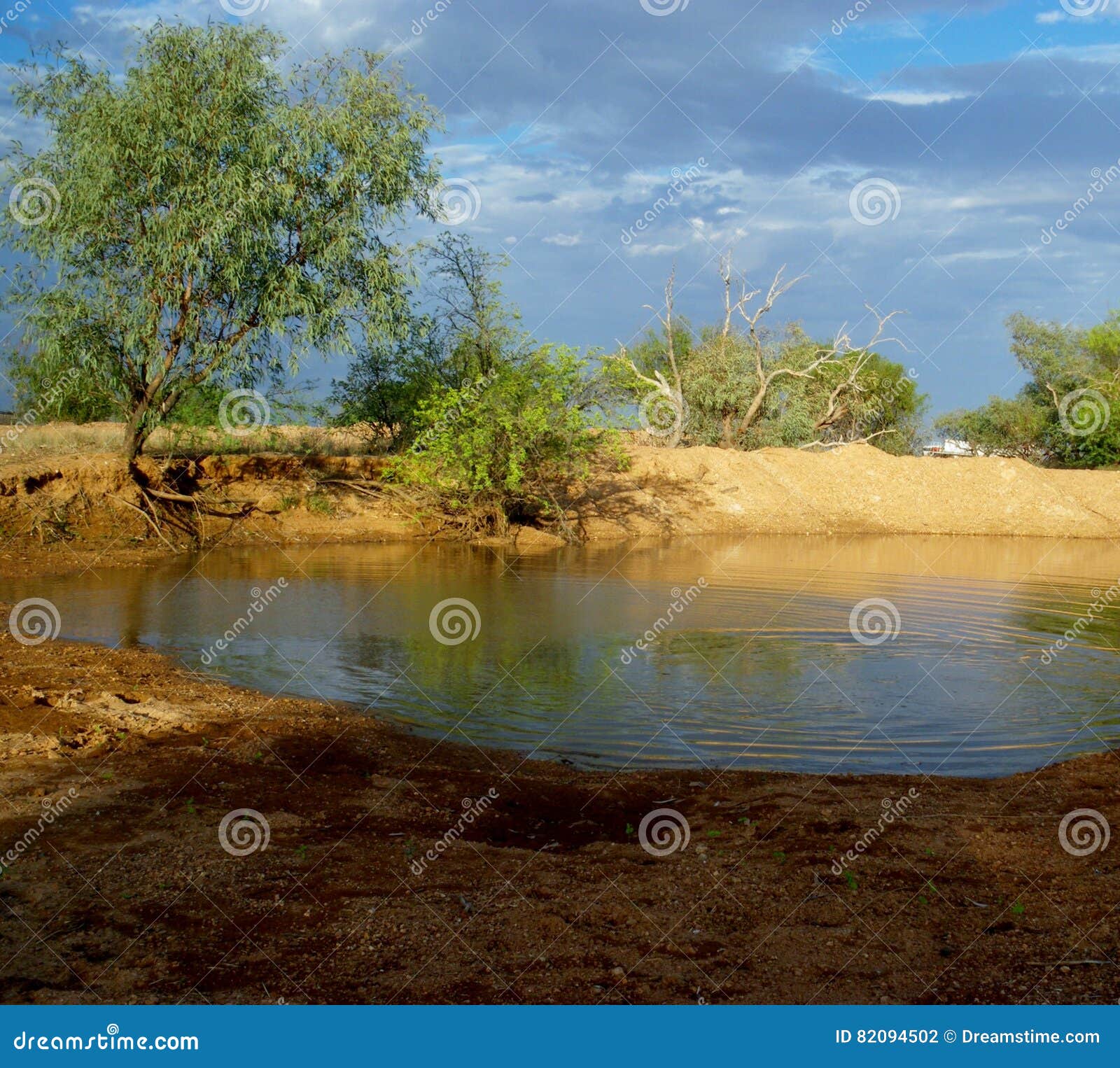 Farm dam stock photo. Image of sandy, wate, farm, trees - 82094502