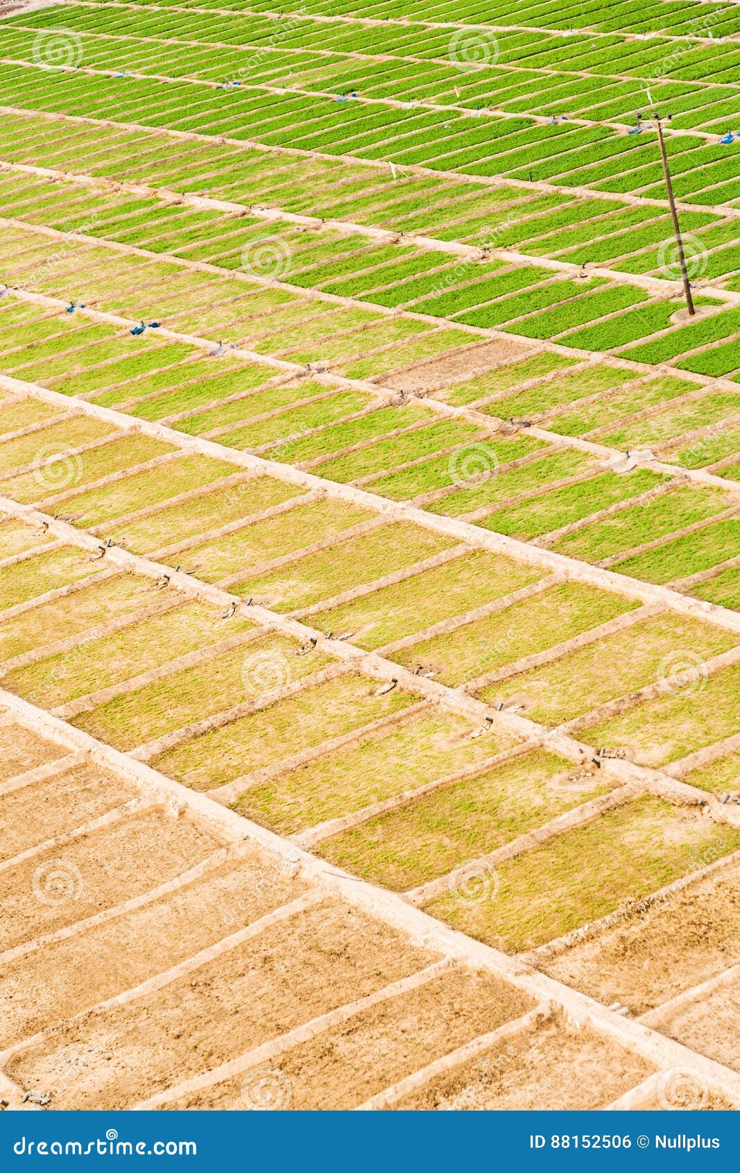 Farm in the Desert stock photo. Image of sand, irrigation - 88152506